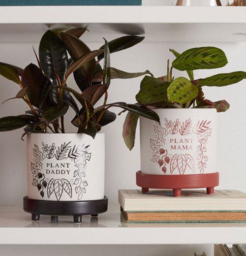Plant Daddy Pot with Saucer – Little Red Hen