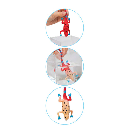 Schylling Color-Changing Revealeons – Little Red Hen