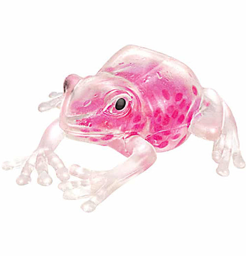 Squish The Frog – Little Red Hen